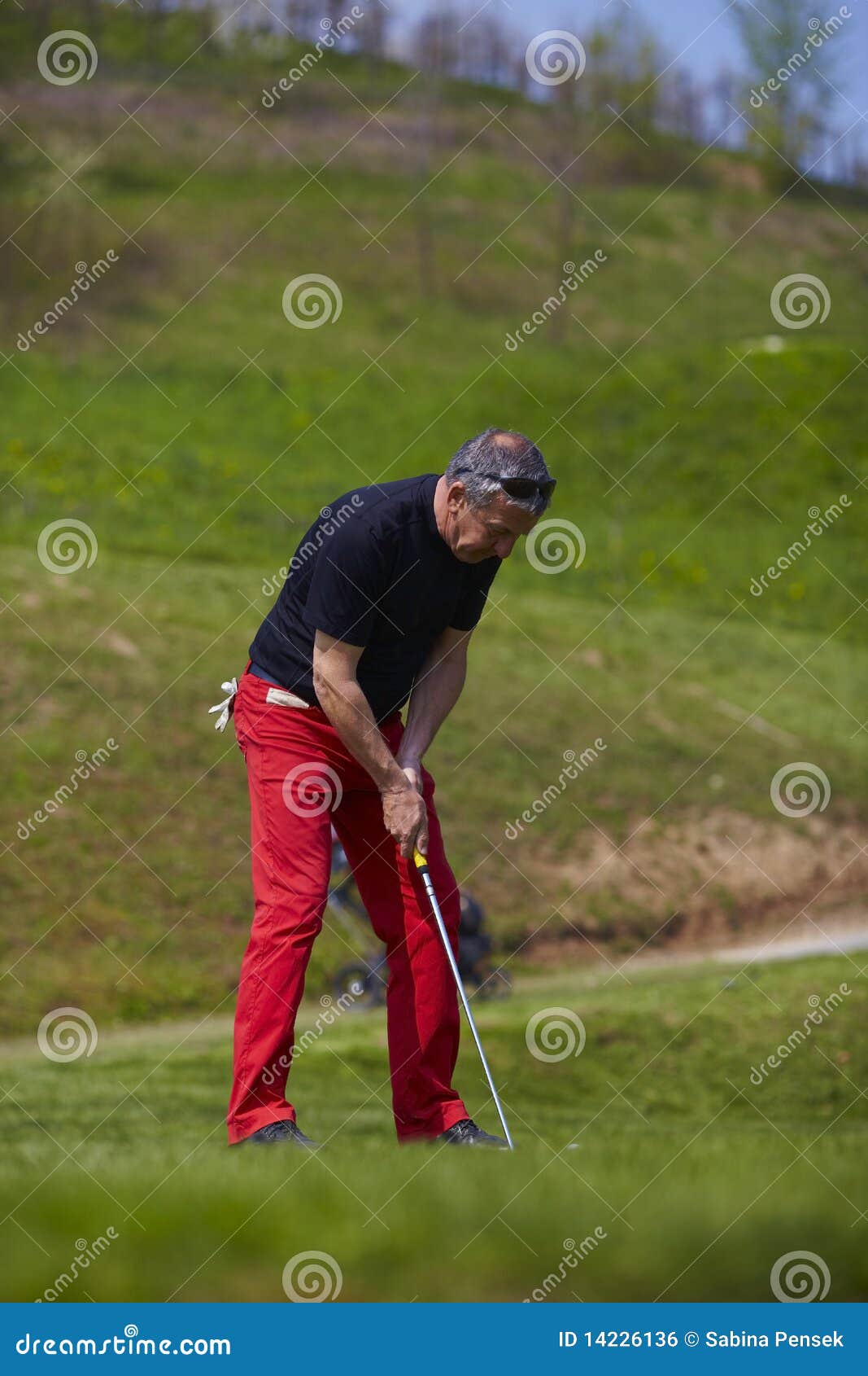 Man on the Golf Course Putting Stock Photo - Image of golfer, aged ...