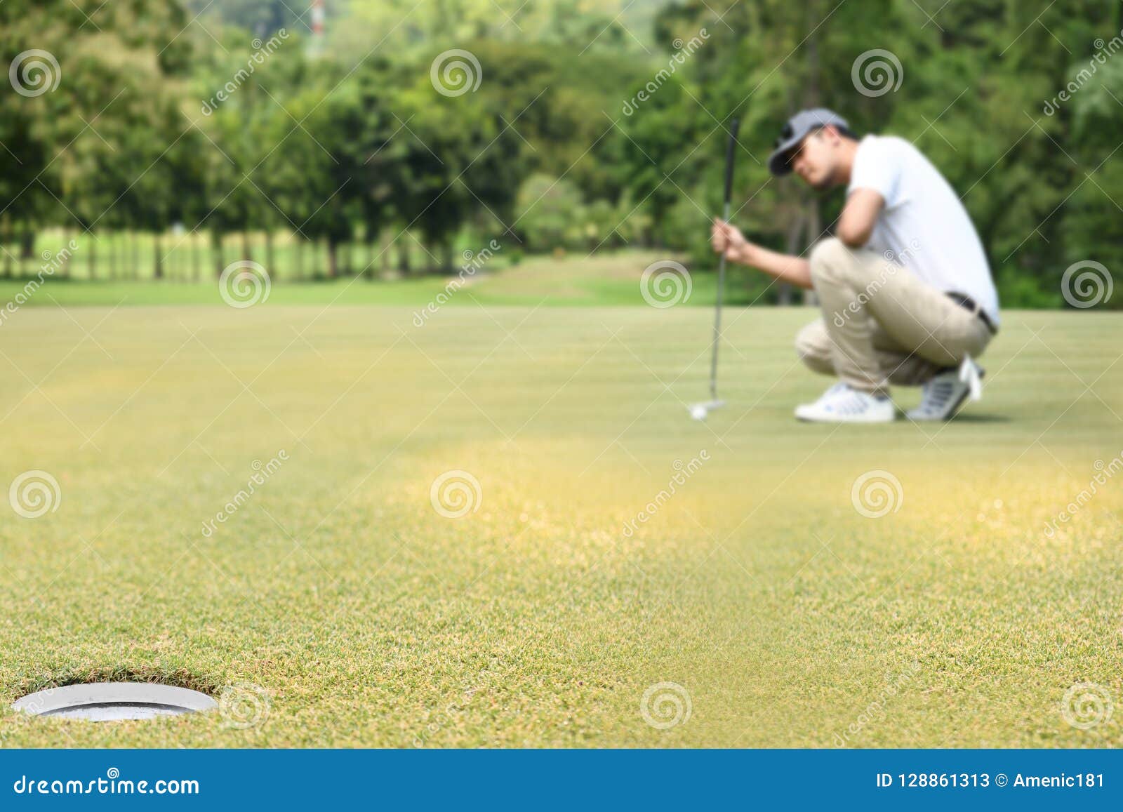Man Golfer Check Line for Putting Golf Ball on Green Grass Stock Image ...