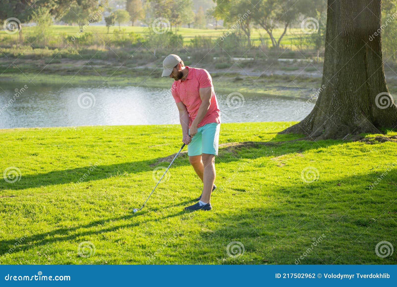 Man Golfer Playing Golf on a Golf Course. Stock Photo - Image of golf ...
