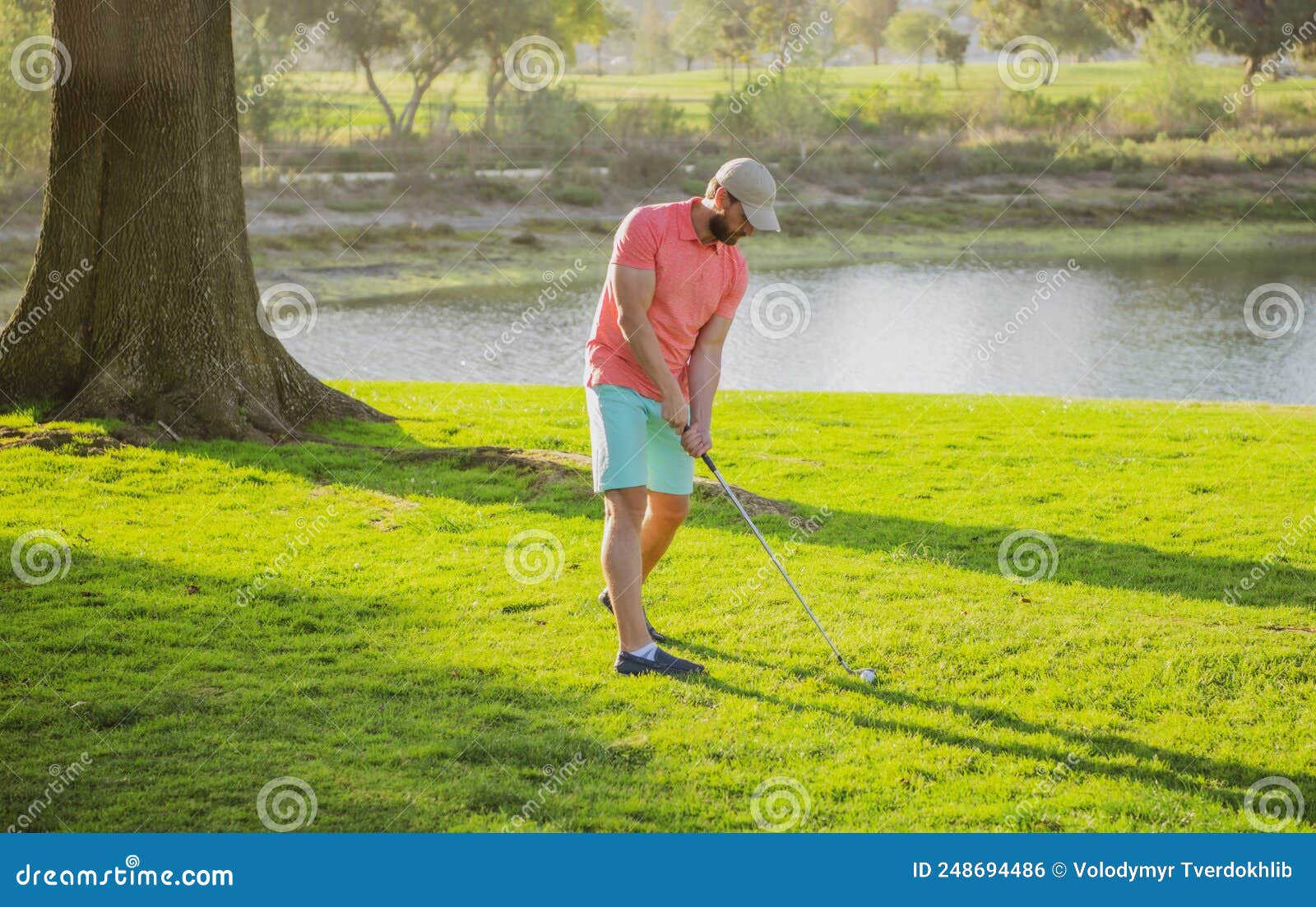 Man Golfer Playing Golf on a Golf Course. Stock Photo - Image of ...