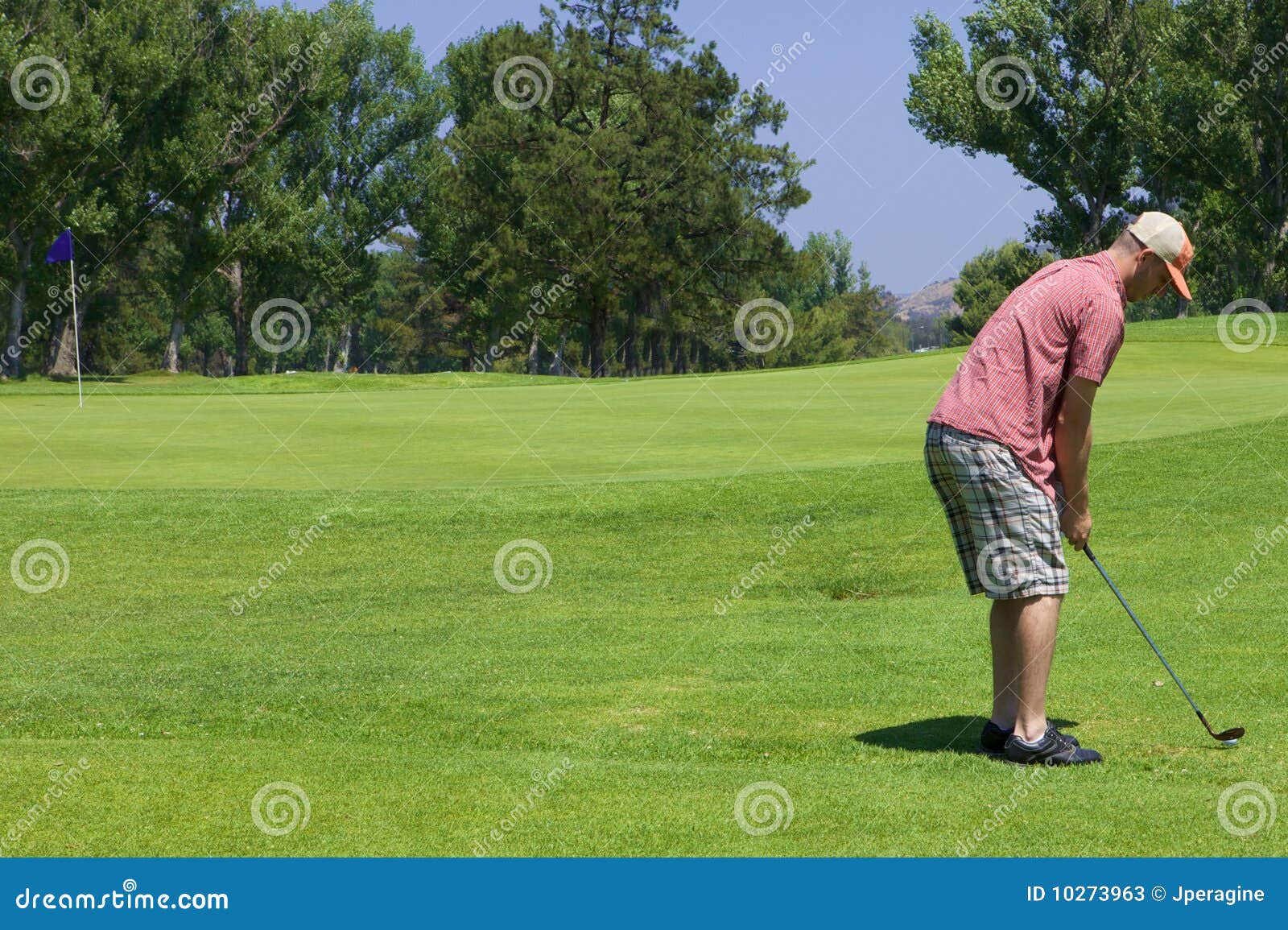 Man Golfing stock image. Image of competition, swing - 10273963