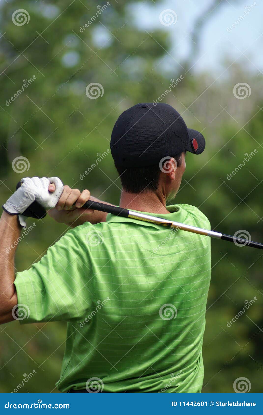 Man Golfing stock image. Image of sport, golfing, club - 11442601