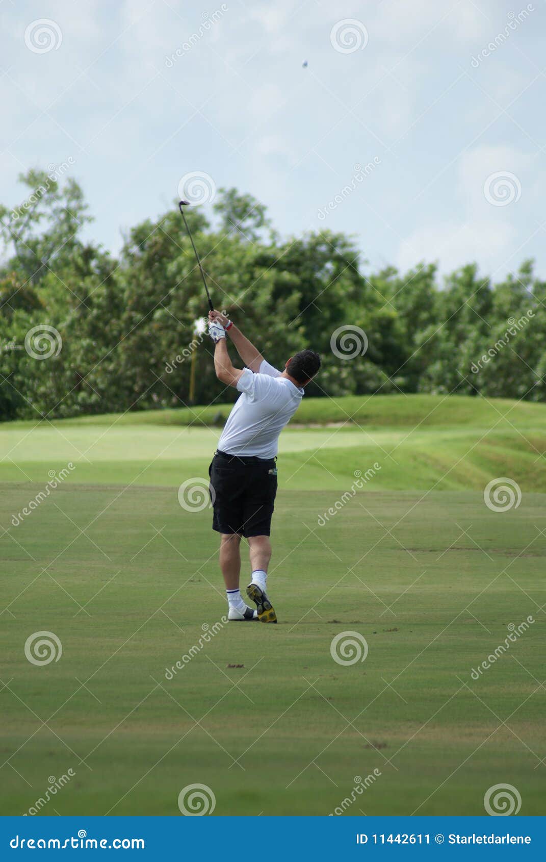 Man Golfing stock image. Image of club, golf, golfer - 11442611