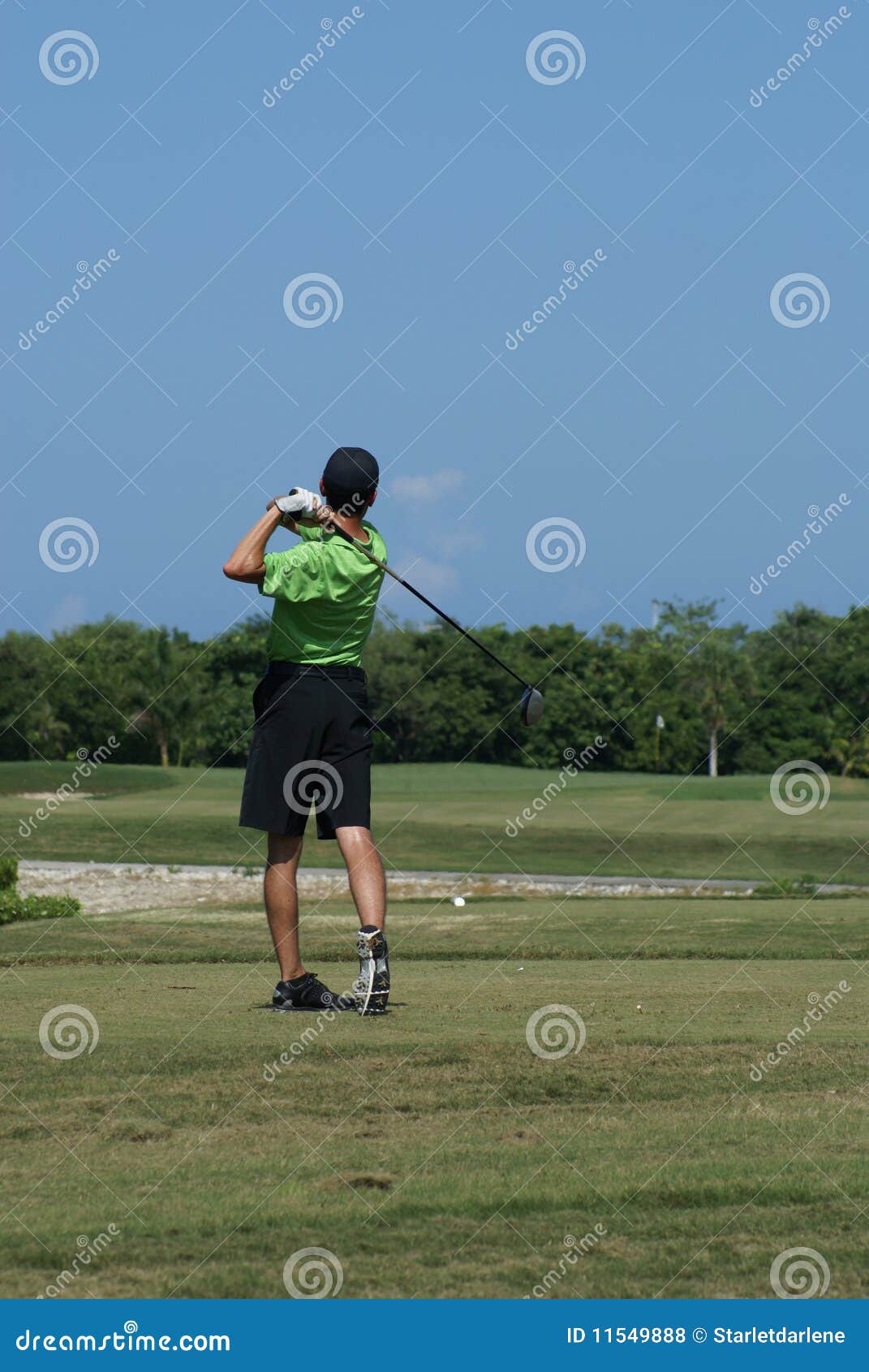 Man Golfing stock photo. Image of outdoors, glove, golfing - 11549888