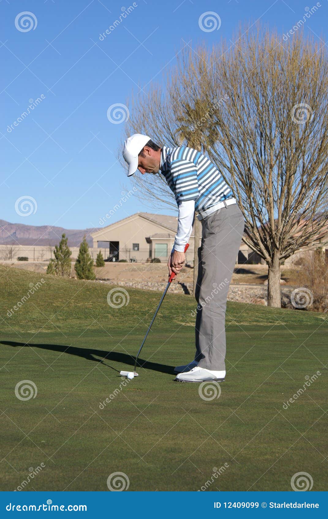 Man Golfing stock image. Image of golfing, arizona, starletdarlene ...