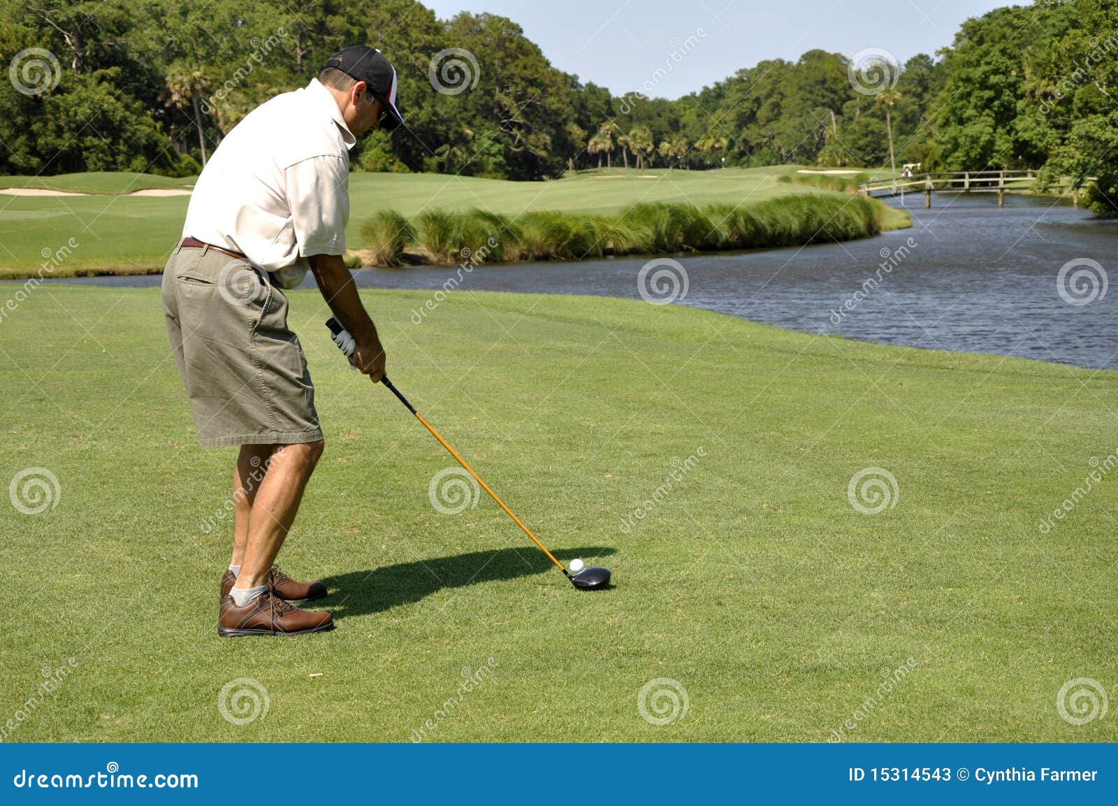 Man golfing stock image. Image of resort, scenery, south - 15314543
