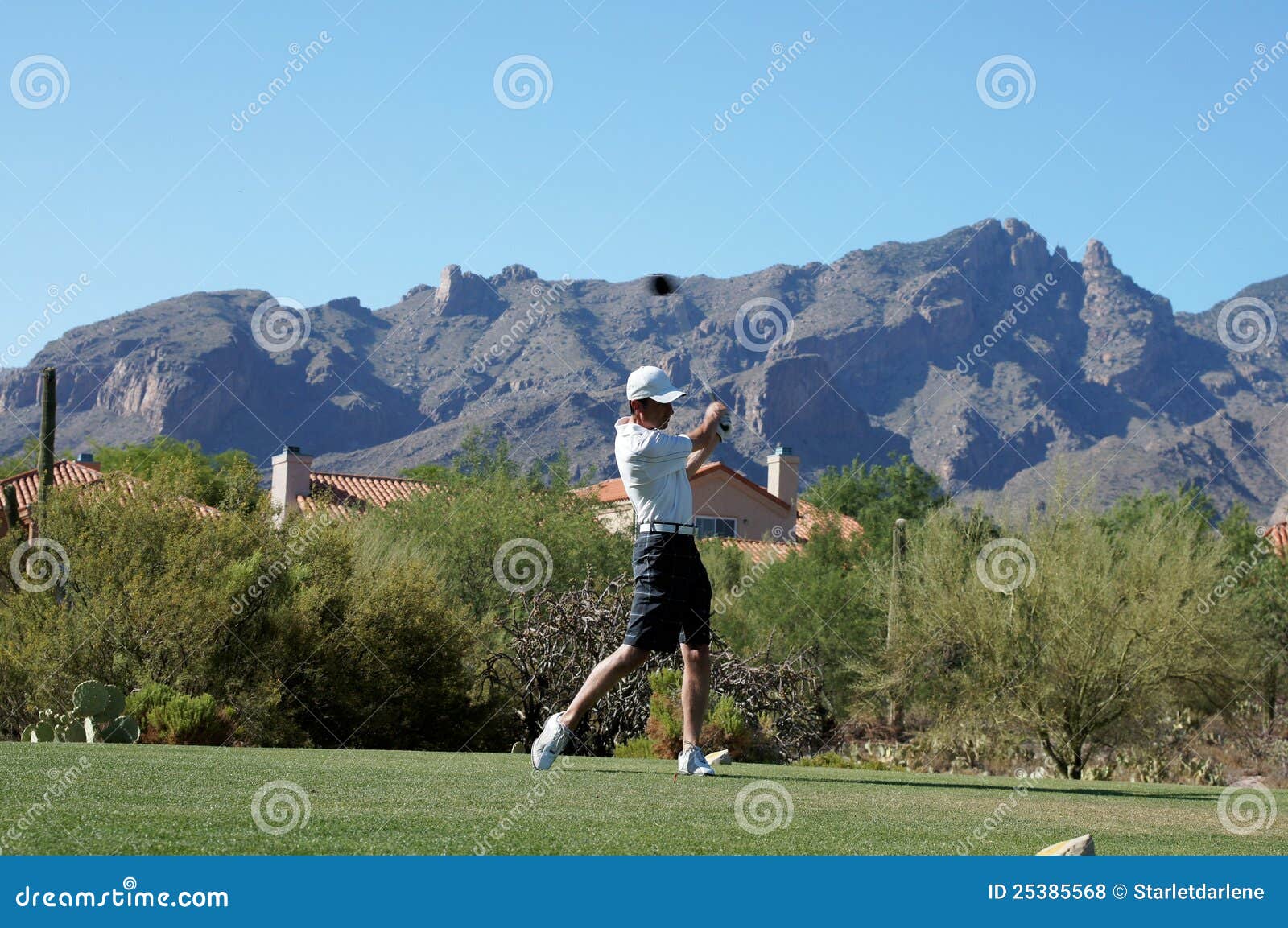 Man Golfing stock photo. Image of golfing, swinging, sports - 25385568