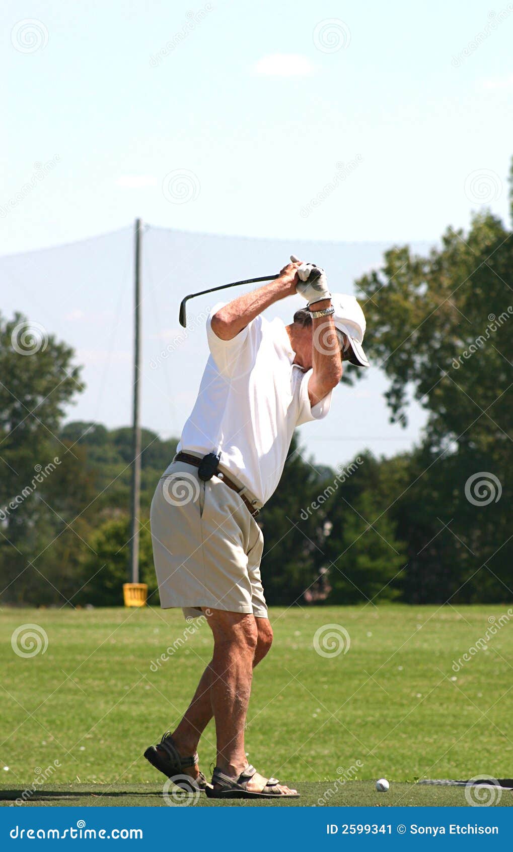 Man Golfing stock image. Image of people, golf, grass - 2599341