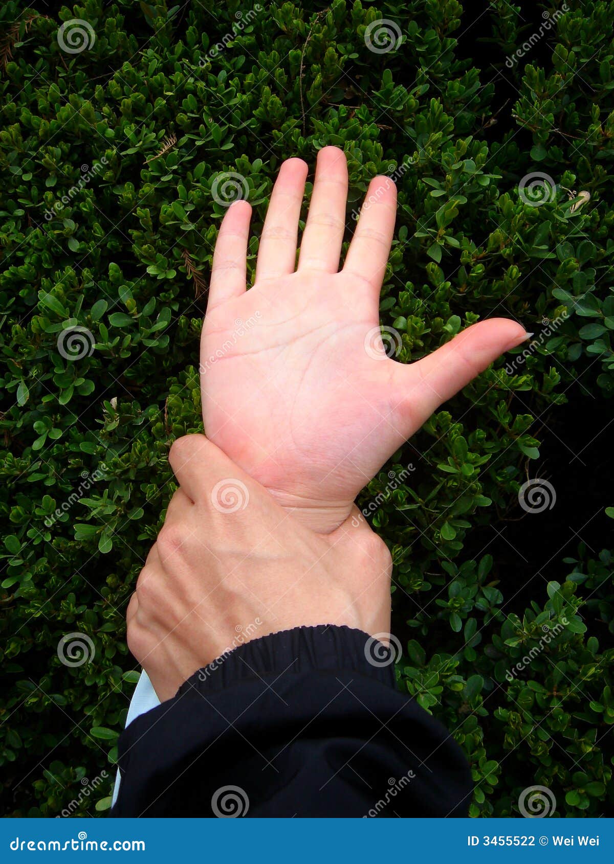 Man grabbing woman hand stock photo. Image of assaulting - 3455522