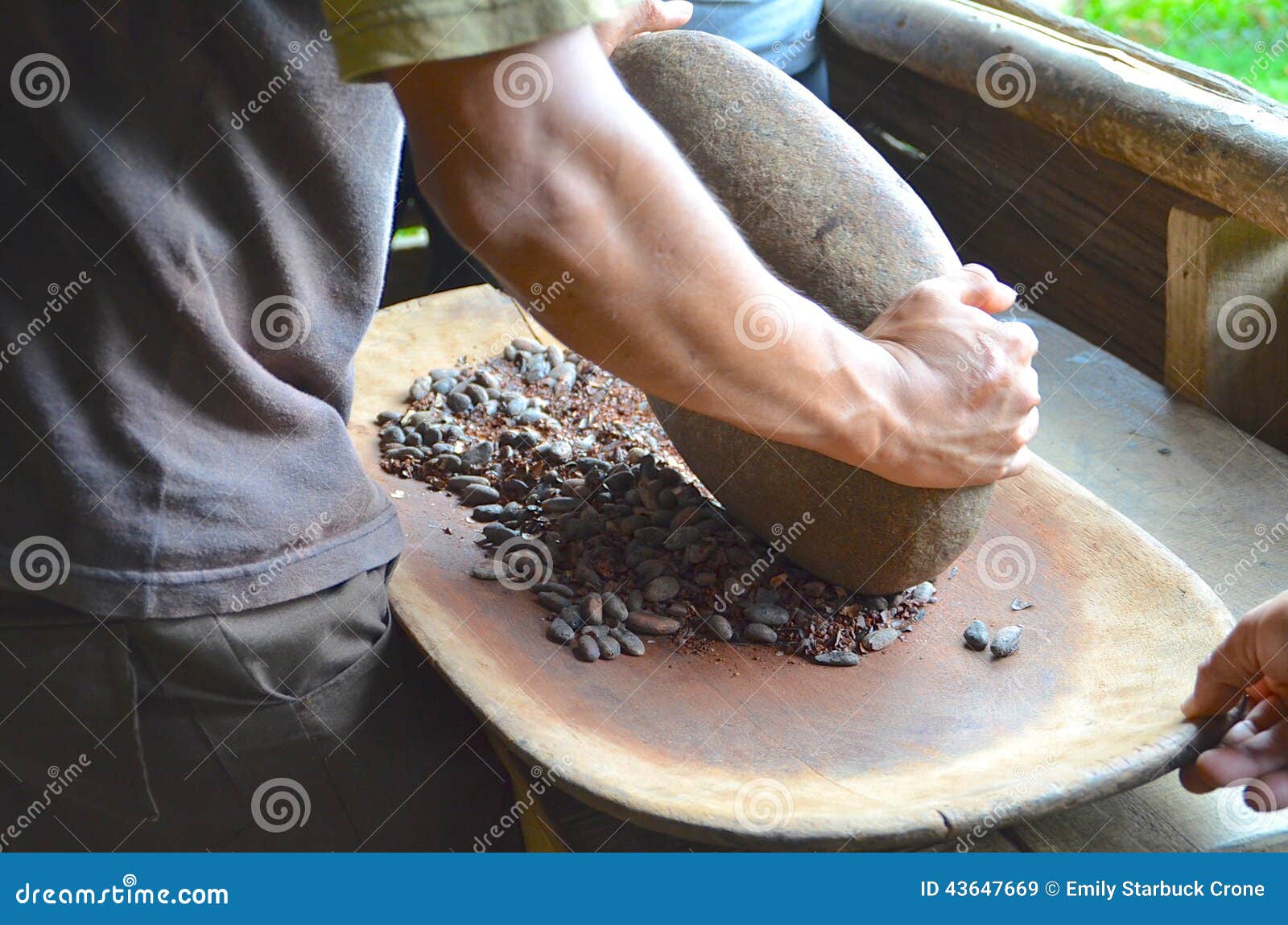 Man grinding cacao beans stock image. Image of rica, costa - 43647669