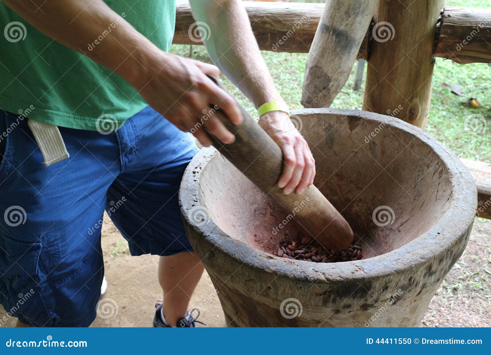 Man Grounding Cocoa Beans in a Mortar Stock Photo - Image of bastek ...