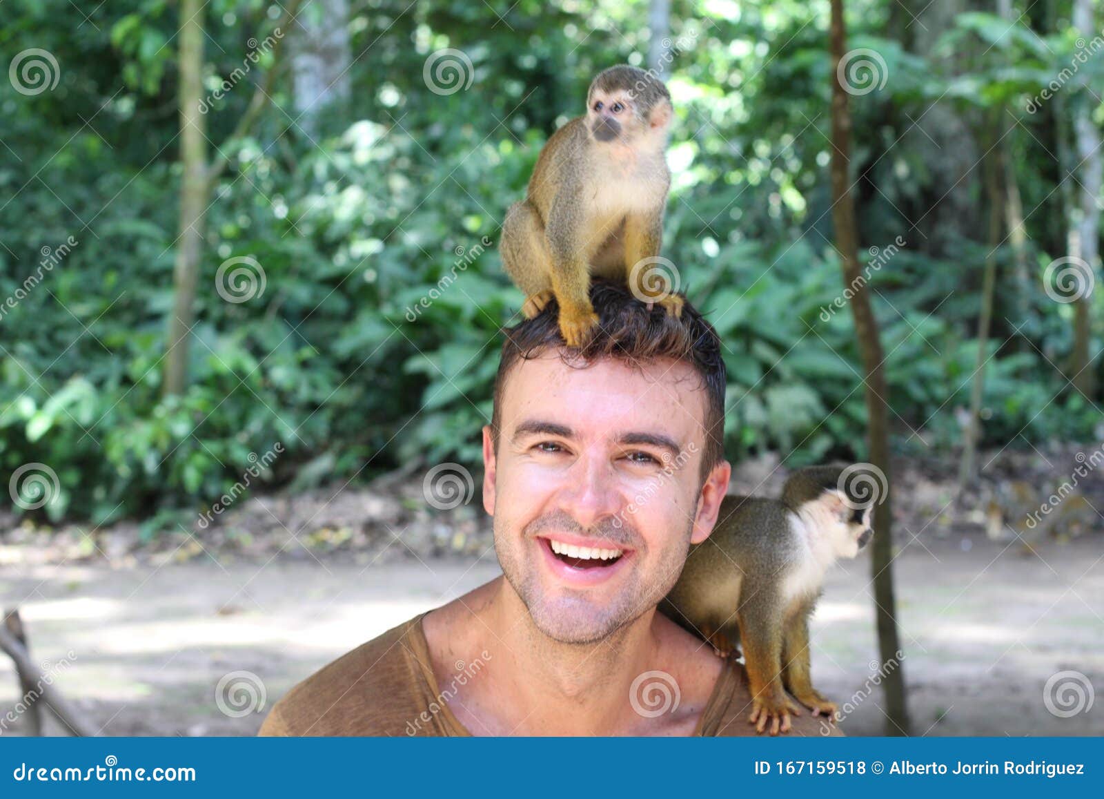 Man with a Group of Wild Monkeys Stock Photo - Image of exotic, brazil ...