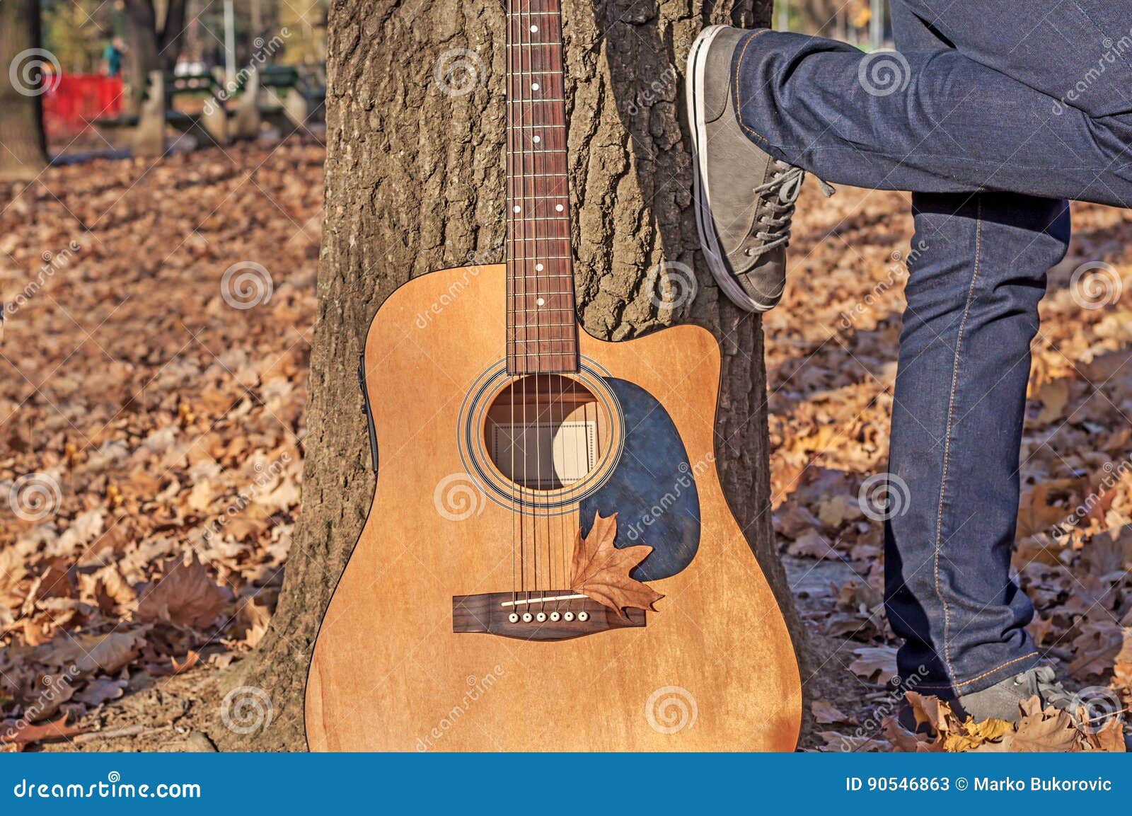 Man and Guitar Leaning on a Tree in Autumn Park Stock Image - Image of ...