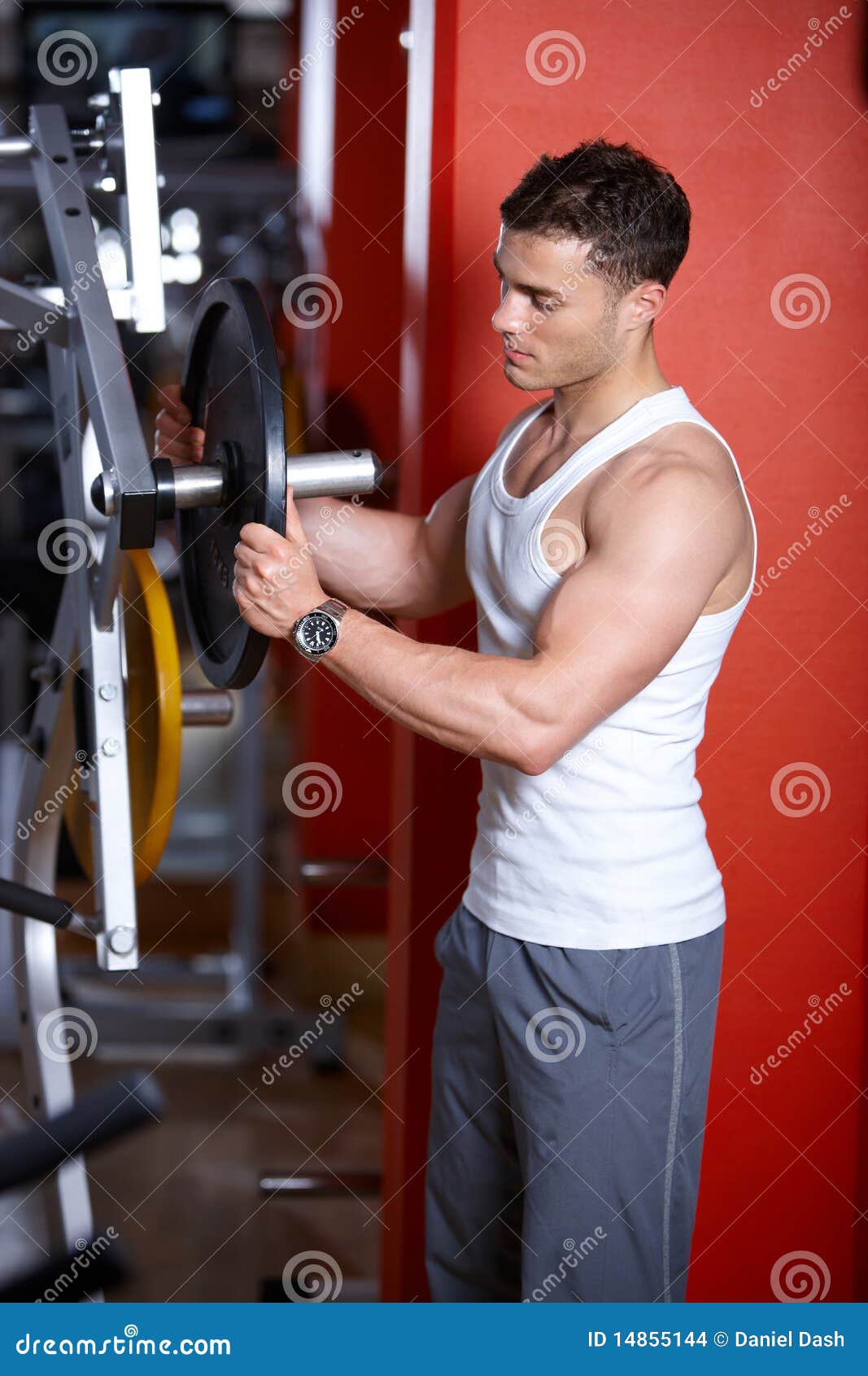 Man at the gym stock photo. Image of happy, exercise - 14855144