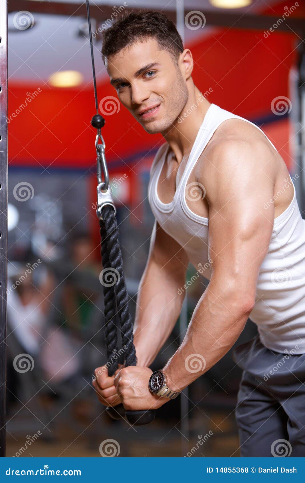Man at the gym stock photo. Image of slim, power, body - 14855368