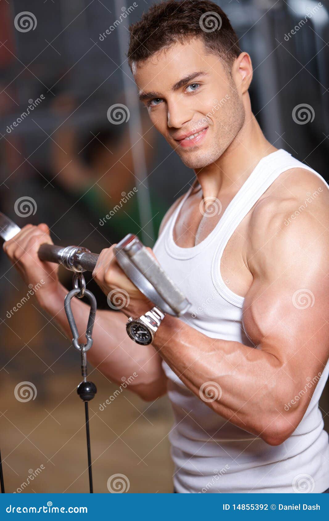 Man at the gym stock photo. Image of sport, strong, lifting - 14855392