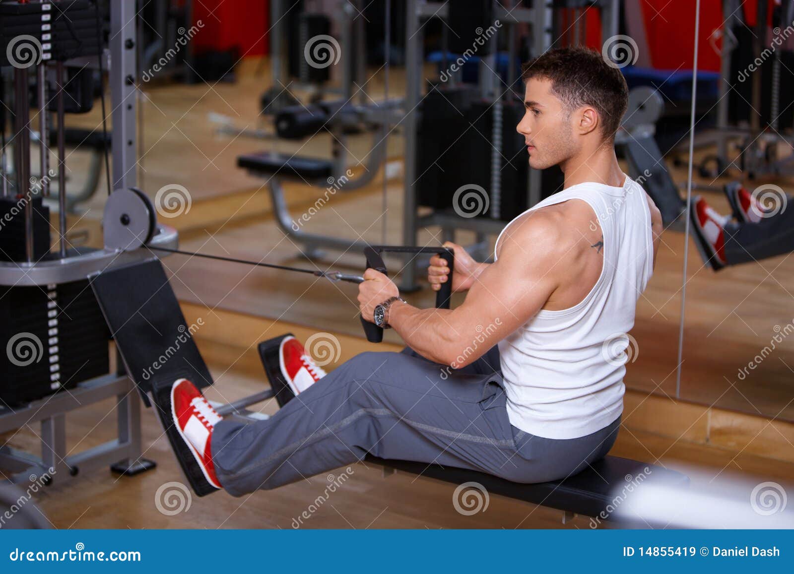 Man at the gym stock image. Image of sport, strong, slim - 14855419