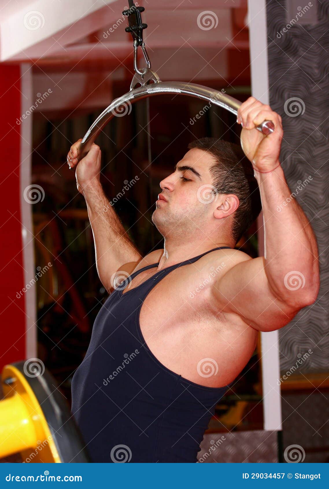 Man in gym stock image. Image of white, active, curve - 29034457