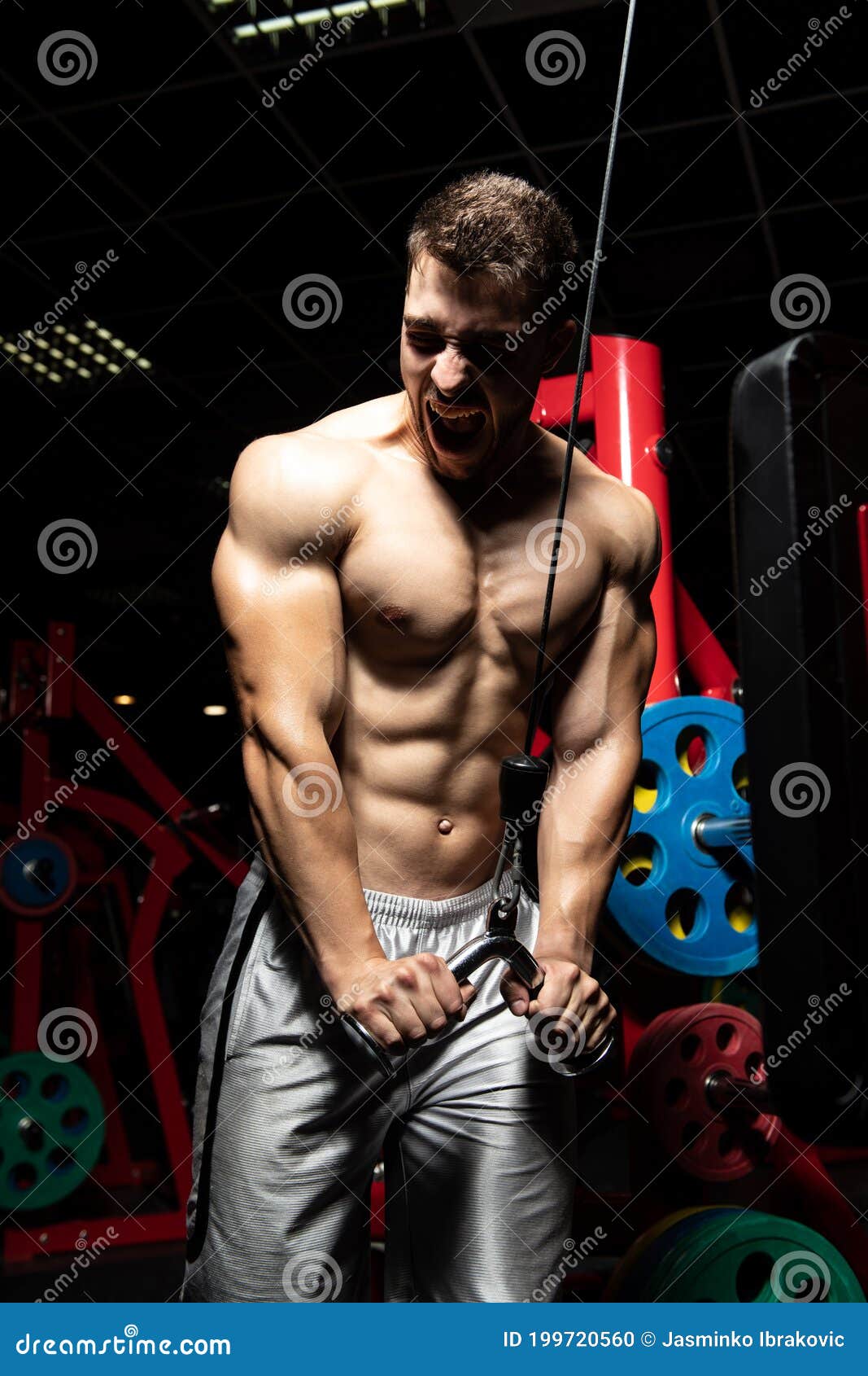 Bodybuilder Exercising Triceps Stock Photo - Image of bodybuilding ...