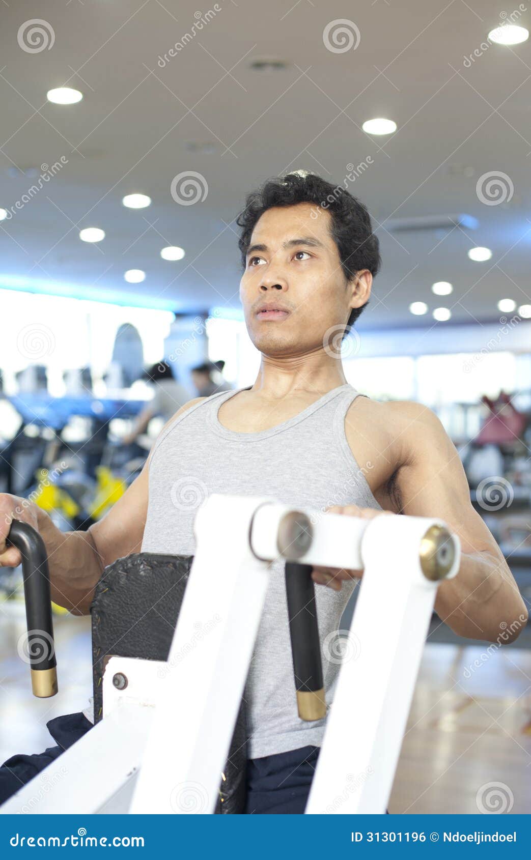 Man gym workout stock photo. Image of strength, male - 31301196