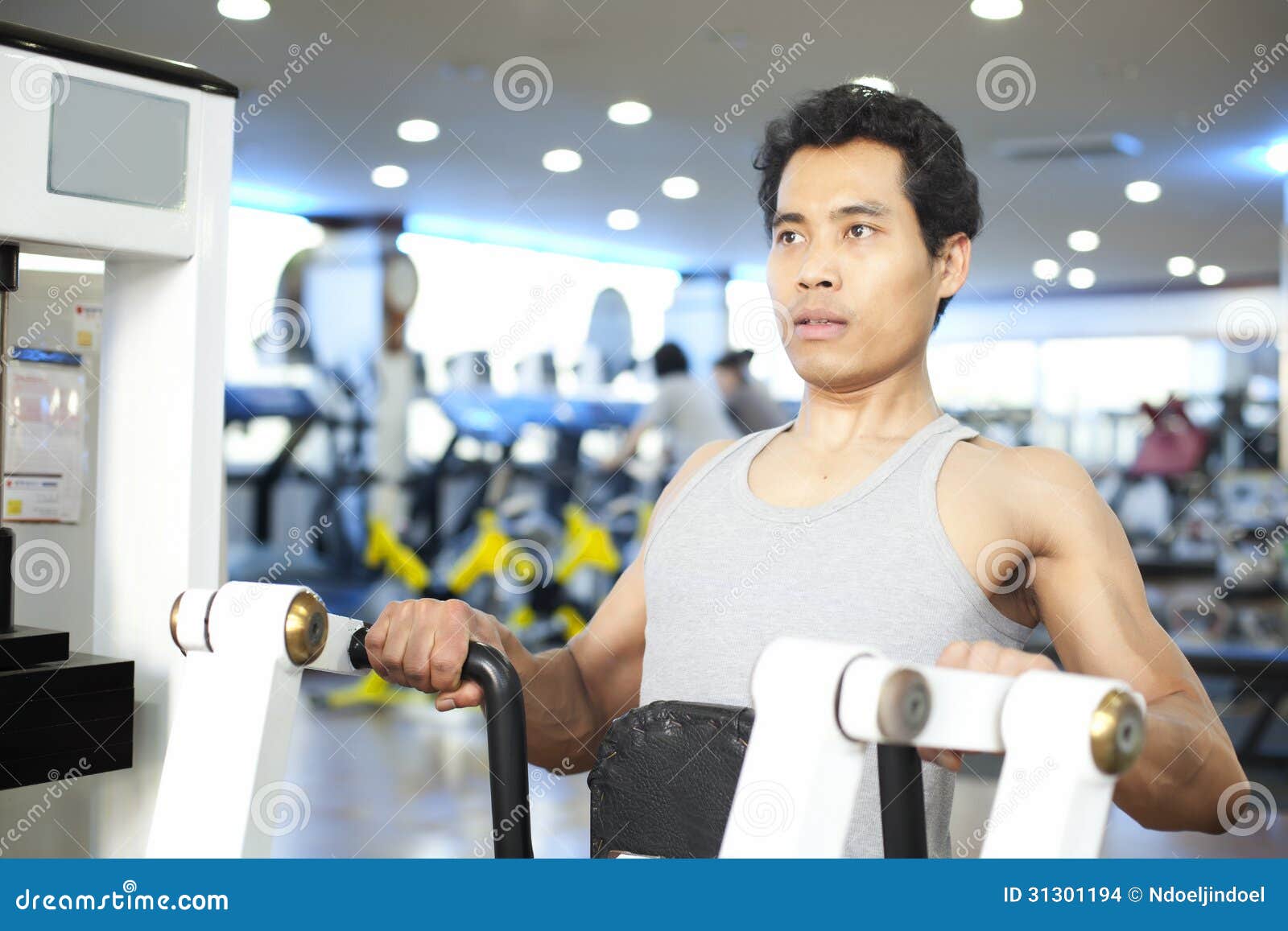 Man gym workout stock photo. Image of strong, athlete - 31301194