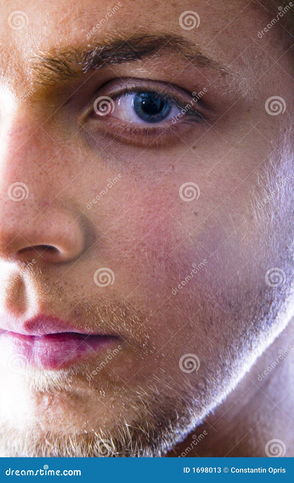 Man half face stock image. Image of face, distinguished - 1698013