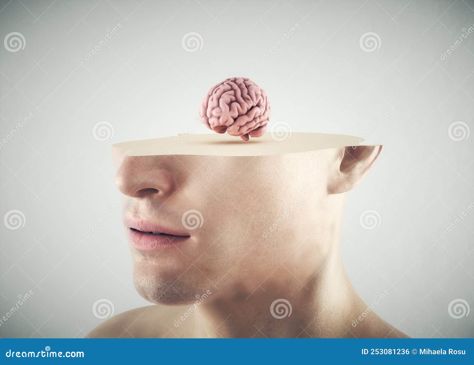 Man With Small Brain Yells At Quiet Man With Big Brain Stock Image ...