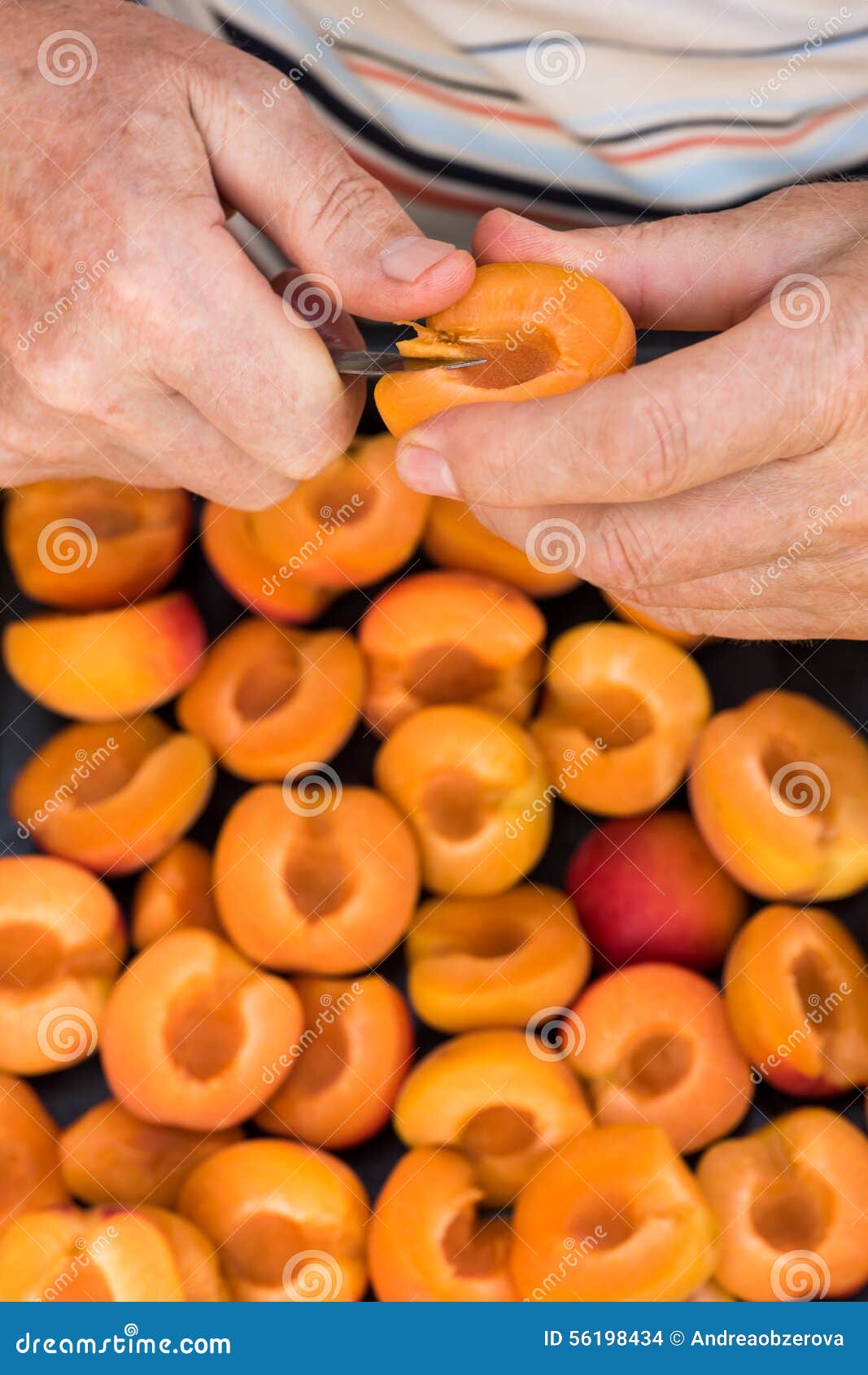 Man Halving Fresh Homegrown Apricots Stock Photo - Image of juicy ...