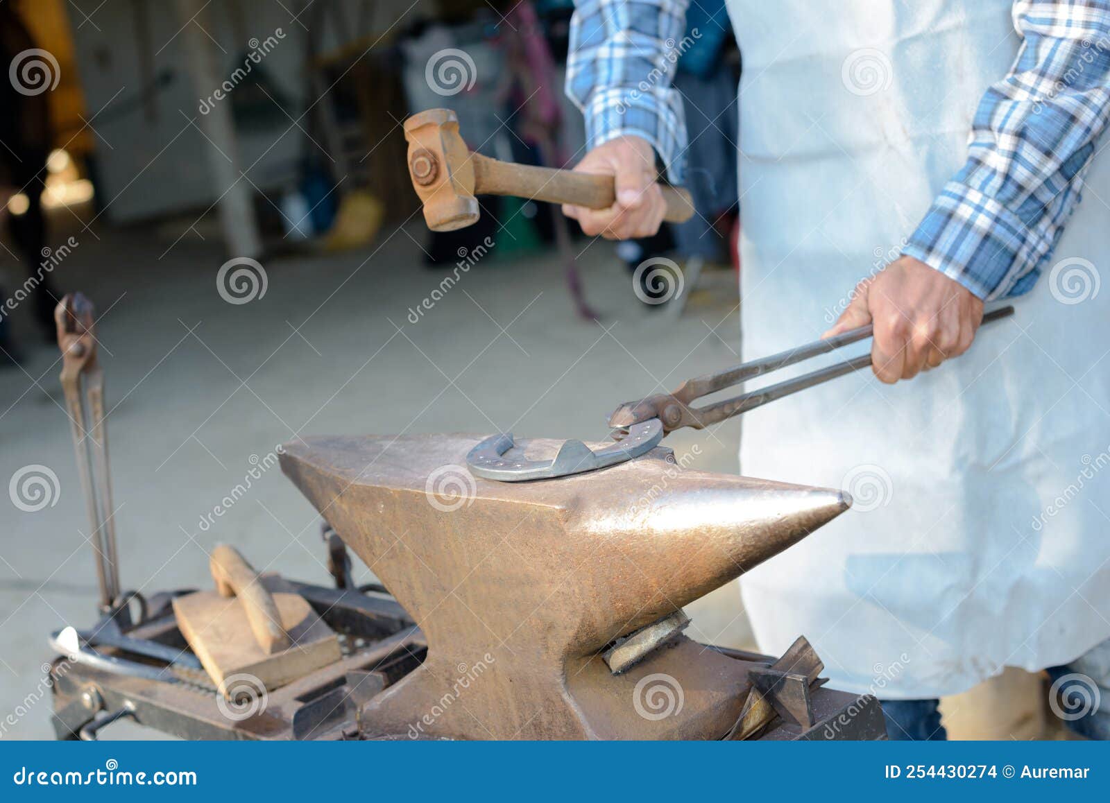 Man hammering hoof stock photo. Image of procedure, laborer - 254430274