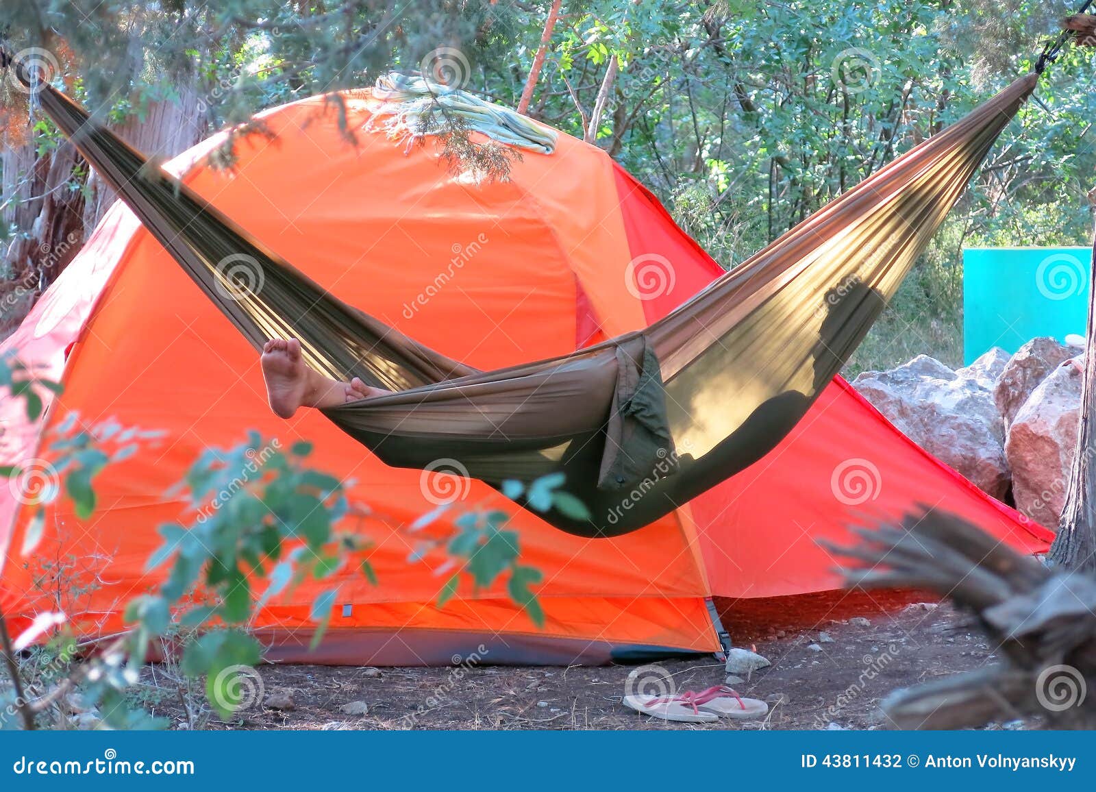 Man in the hammock stock photo. Image of resting, outdoors - 43811432