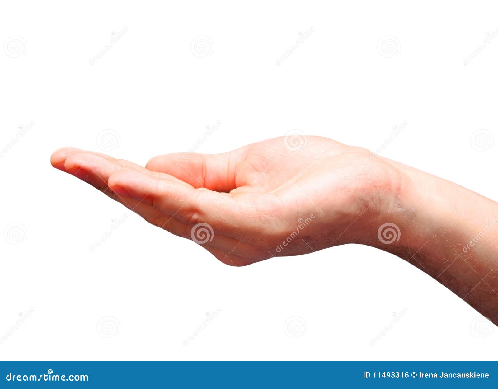 Man hand stock photo. Image of isolated, concept, healthy - 11493316