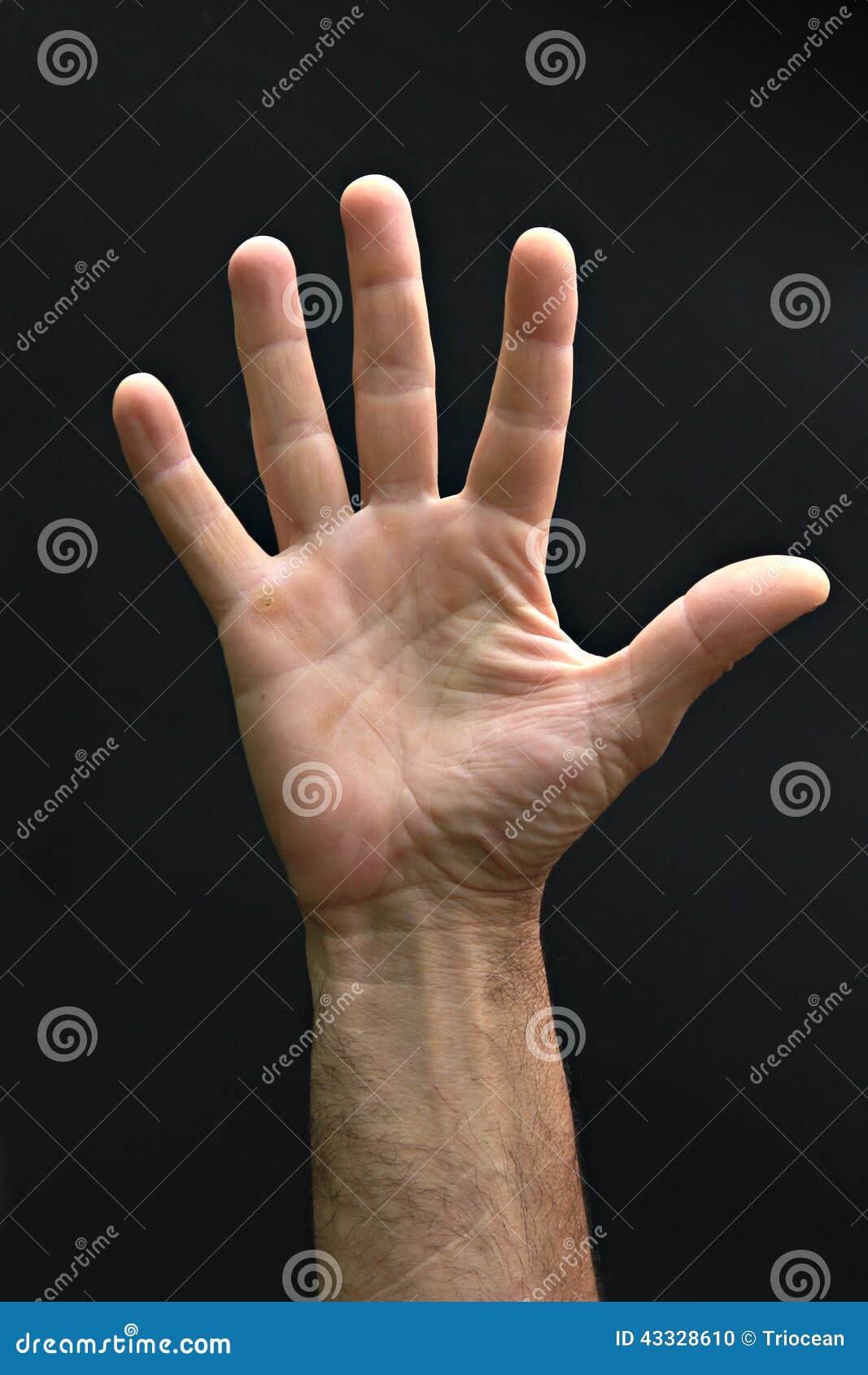 Man hand stock foto. Image of huid, gebaar, vinger, persoon - 43328610