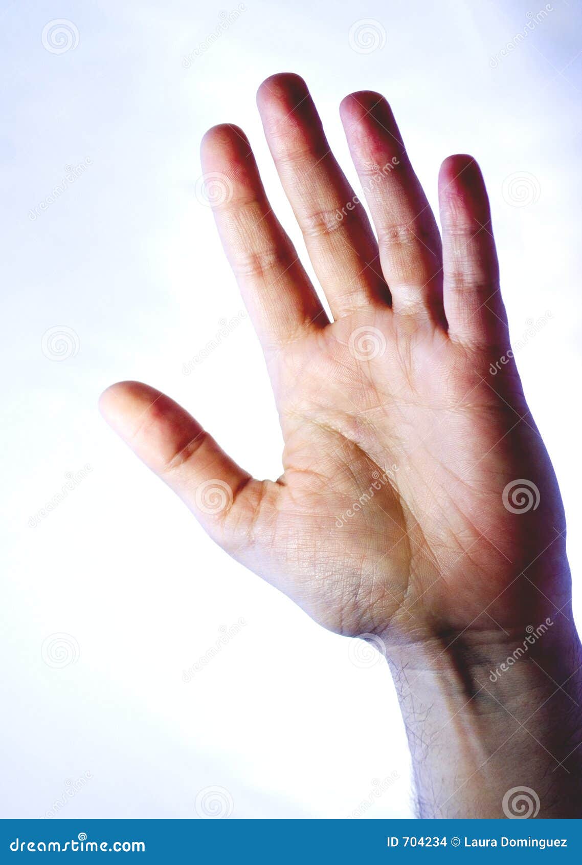 Man hand stock photo. Image of palm, soft, isolated, skin - 704234