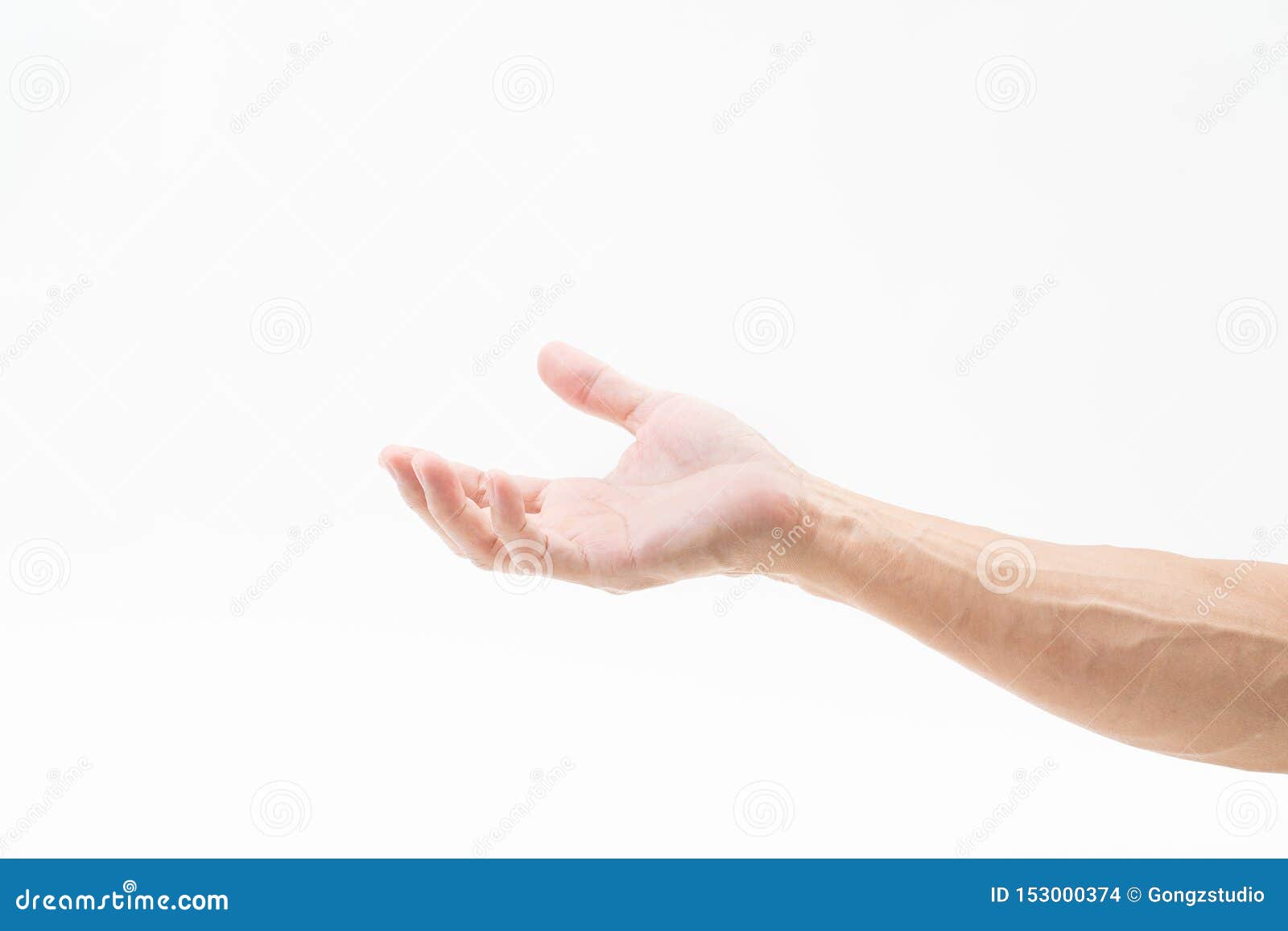 Man Hand Arm on White Background Stock Photo - Image of adult, picking ...