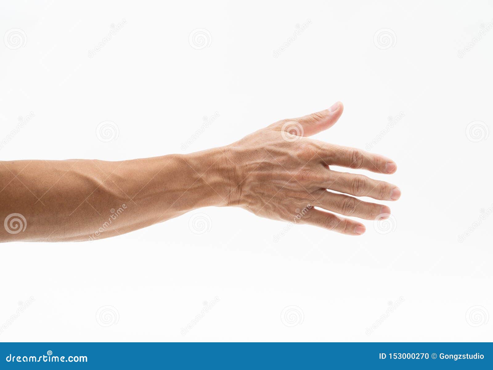 Man Hand Arm on White Background Stock Photo - Image of caucasian ...
