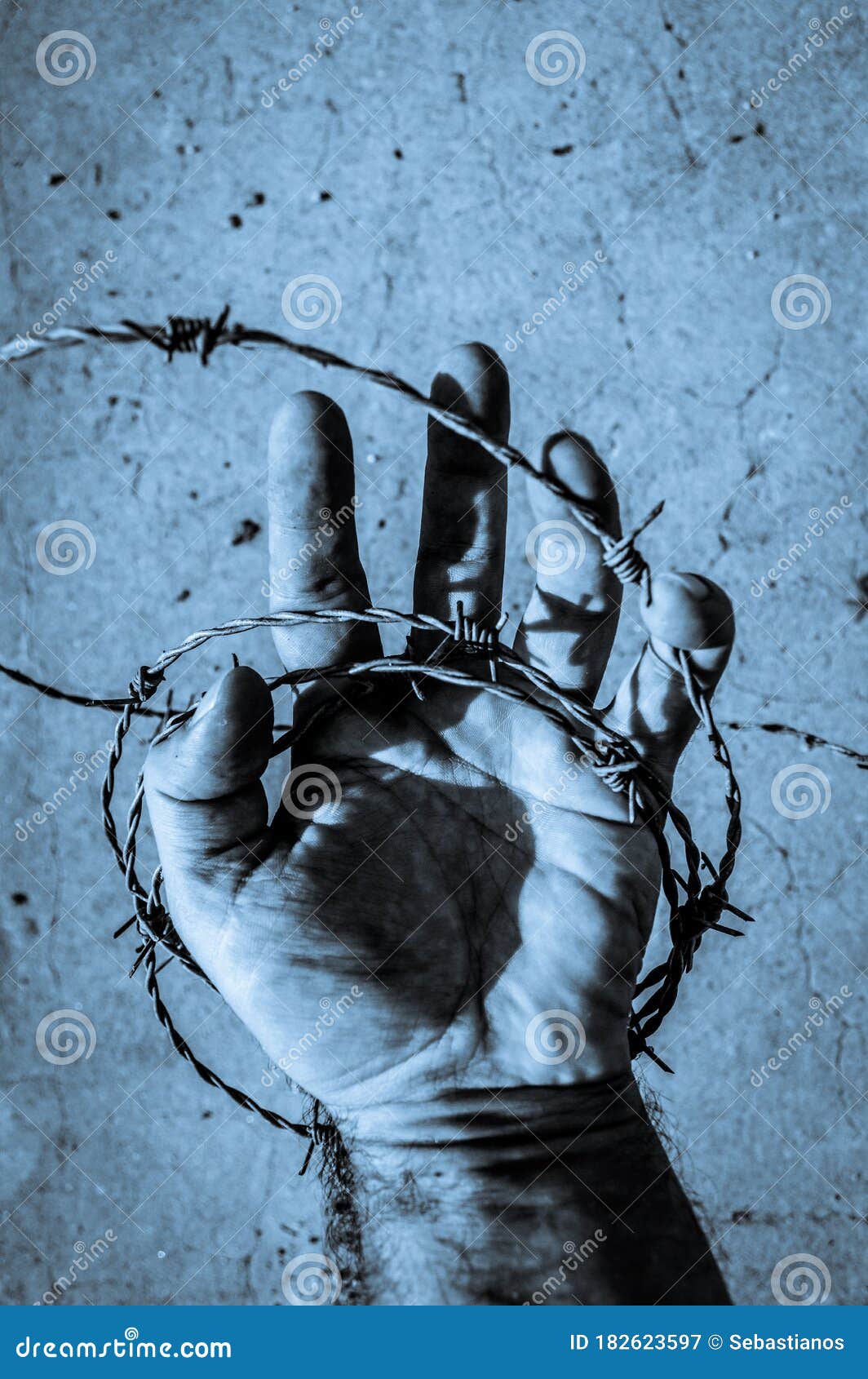 262 Barb Man Wire Stock Photos - Free & Royalty-Free Stock Photos from ...