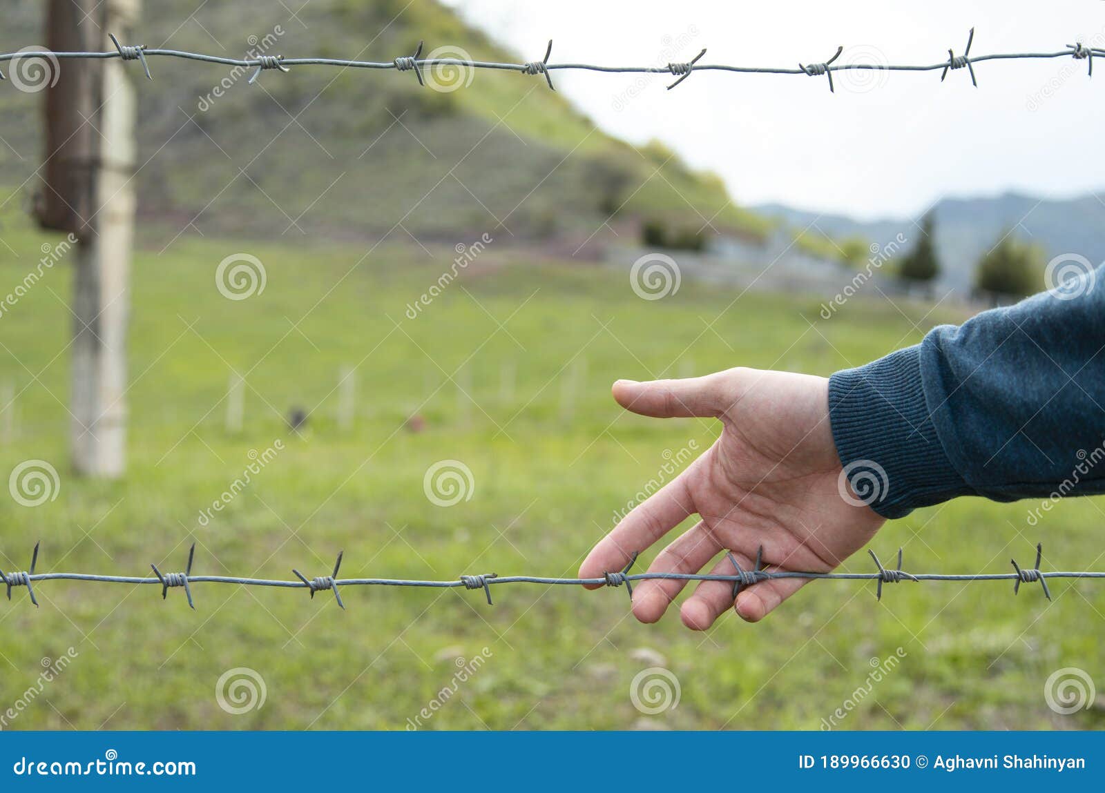Man Hand and Barbed Wire in Landscape Stock Photo - Image of hand ...