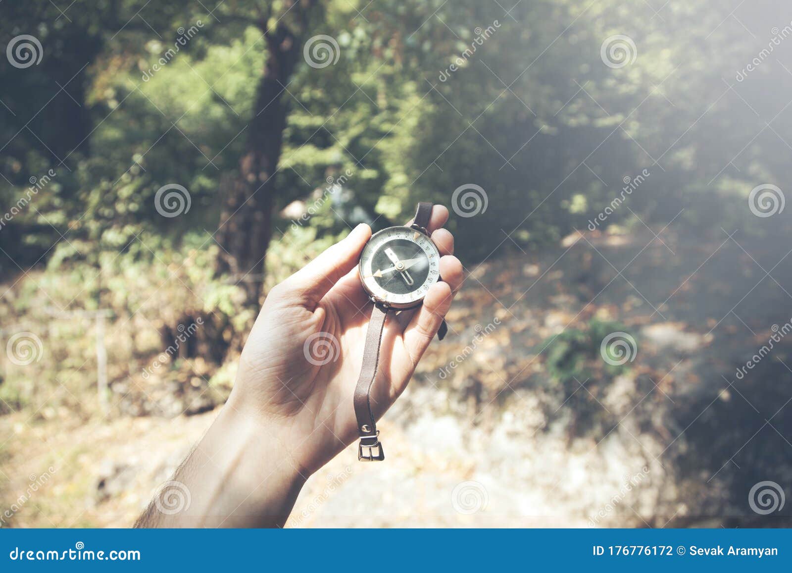 Man hand compass in forest stock photo. Image of compass - 176776172
