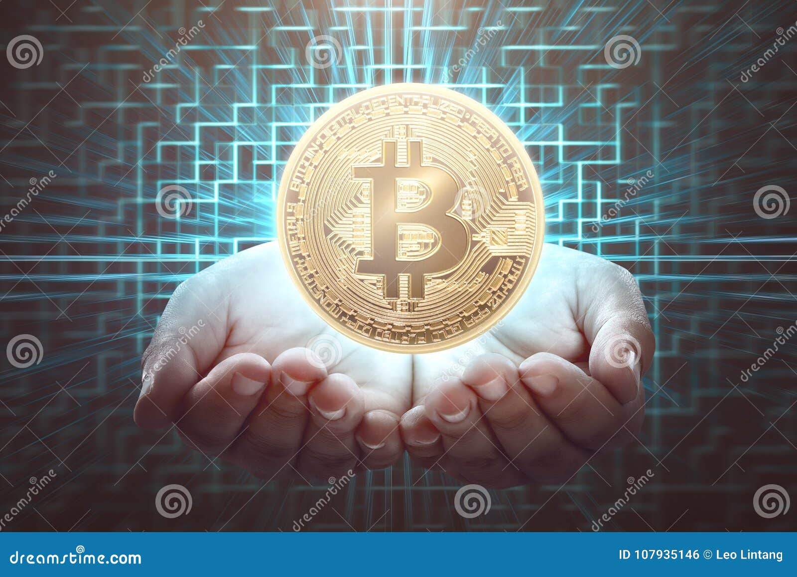 Man hand hold bitcoin stock photo. Image of mining, cryptocurrency ...