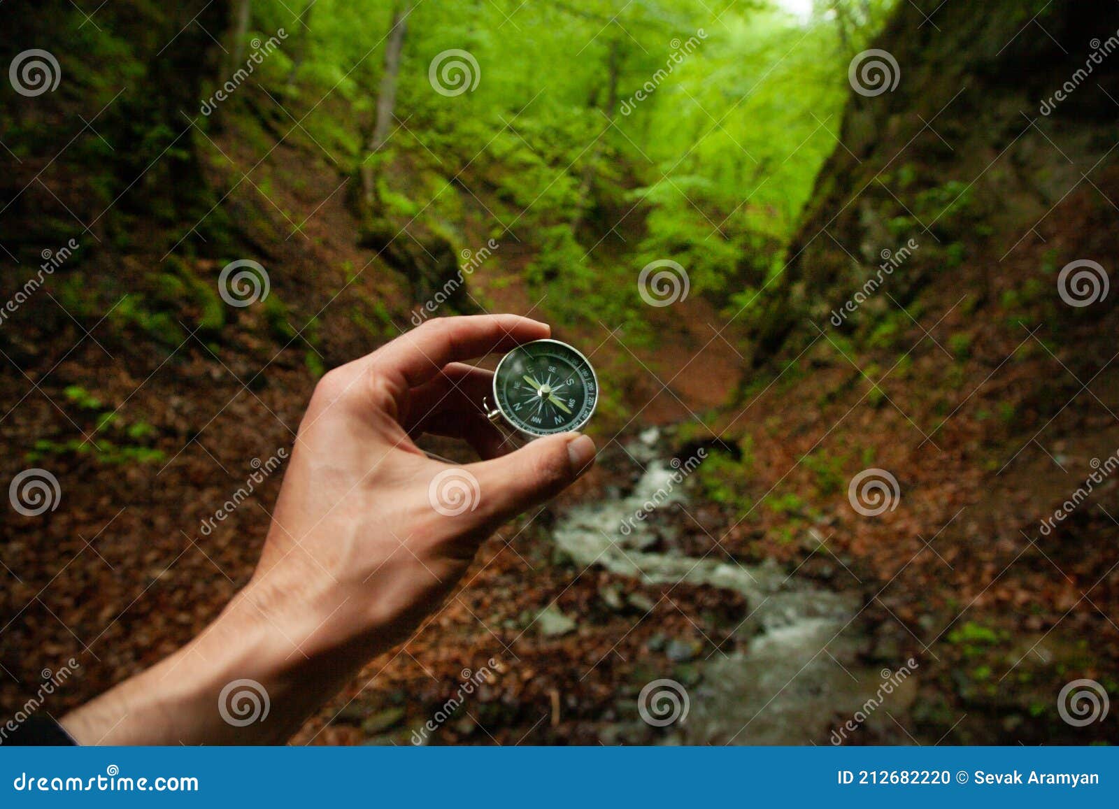 Man hand compass in forest stock photo. Image of exploration - 212682220