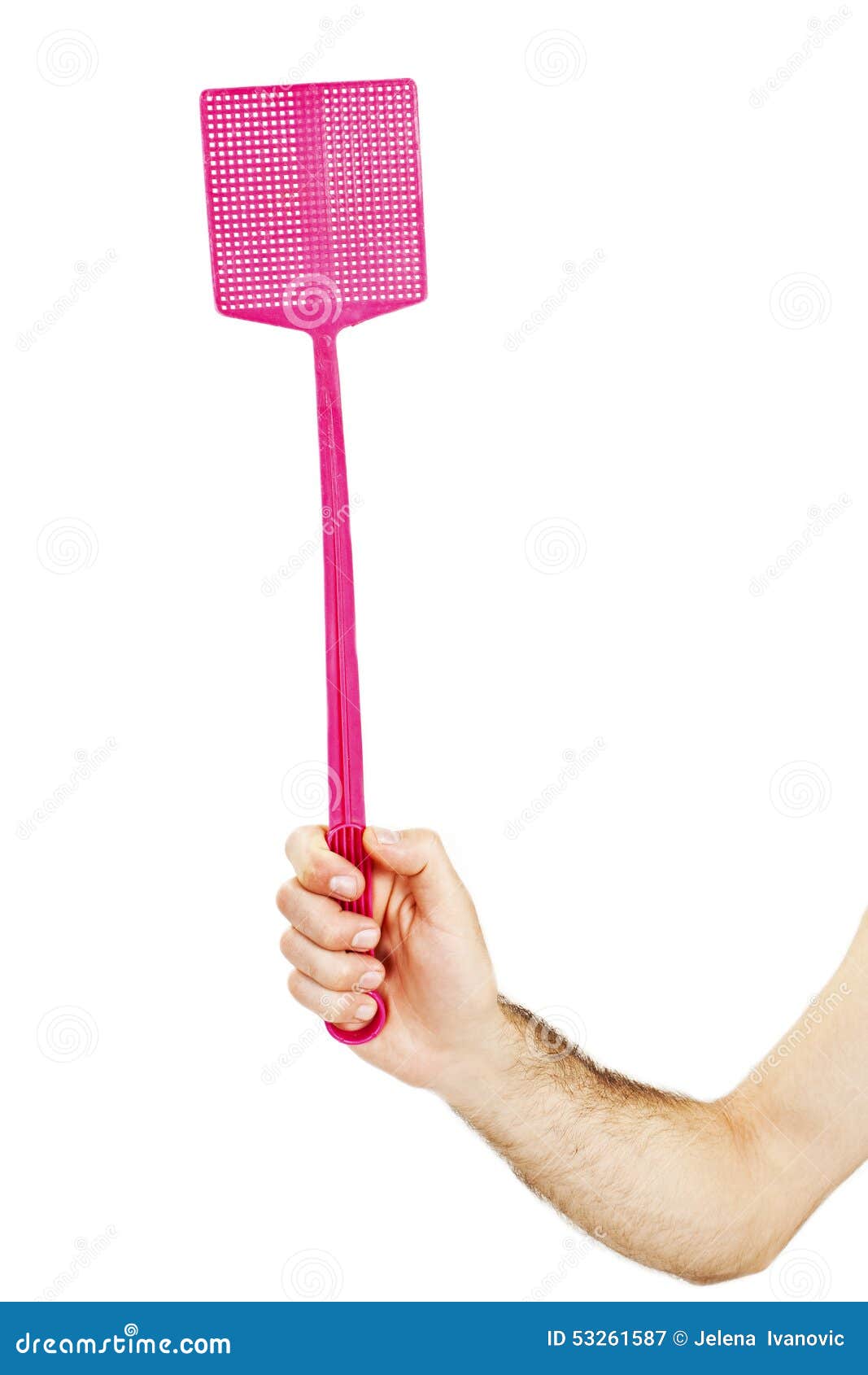 Flyswatter Royalty-Free Stock Image | CartoonDealer.com #15672904