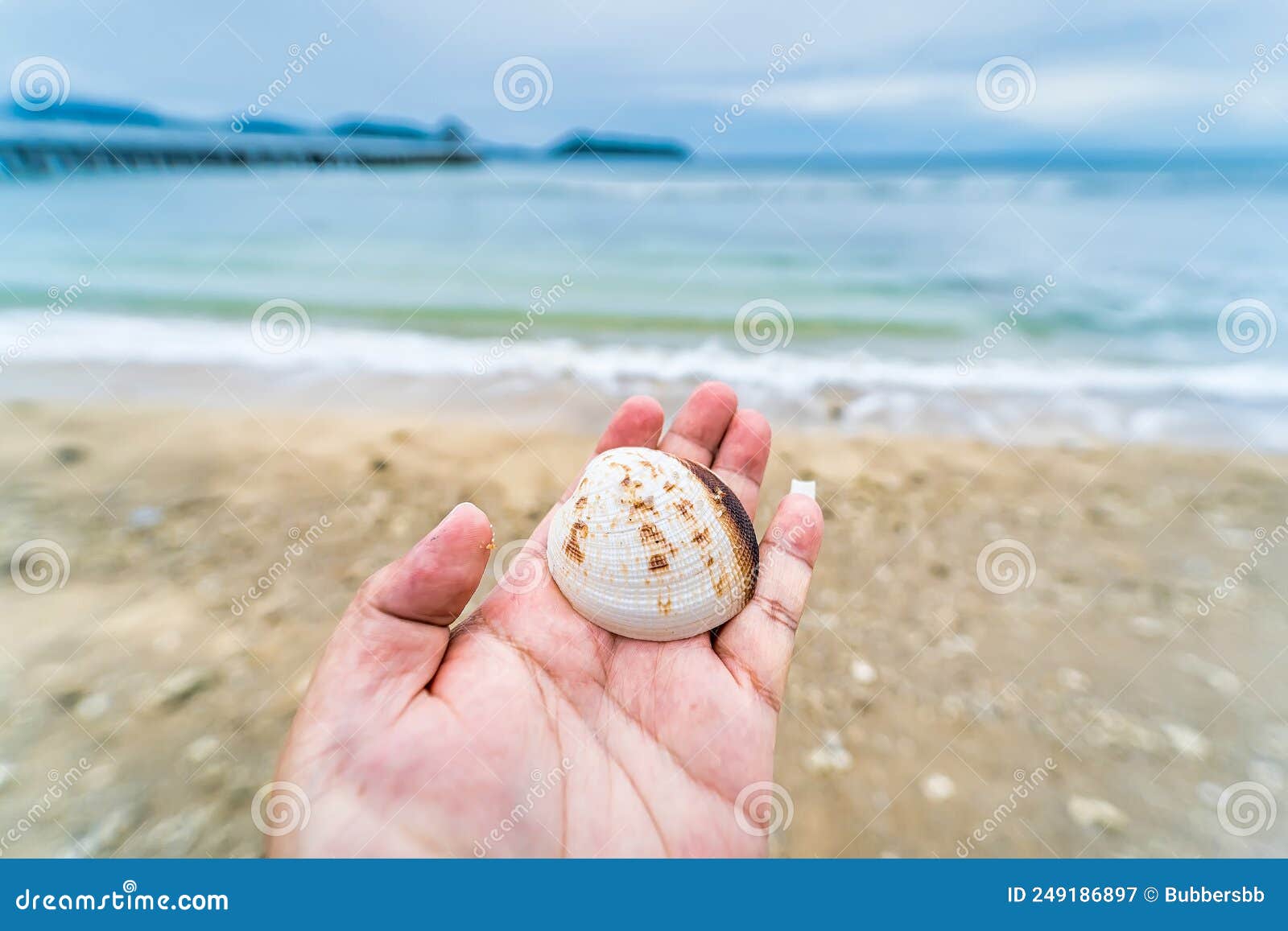Man Hand Holding Nautilus Shell Against Sea Waves Stock Image - Image ...