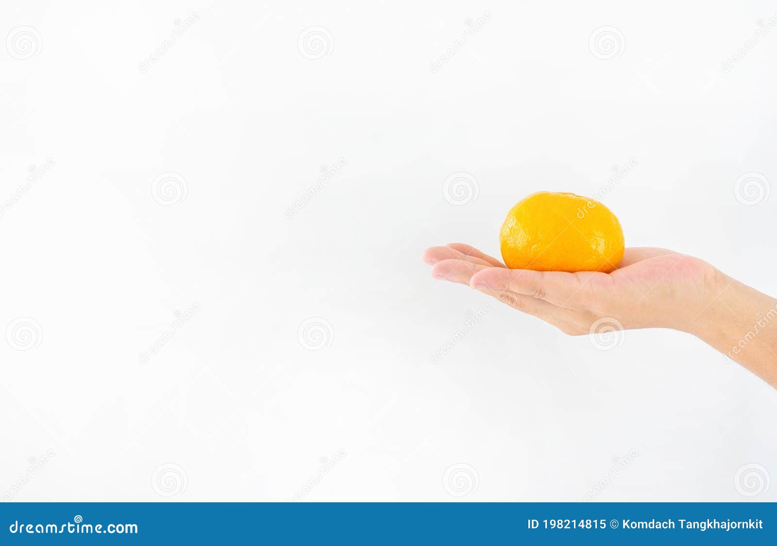 Man Hand Holding Orange on White Background Stock Image - Image of ...