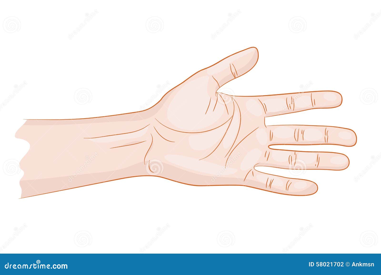 Man hand isolated stock vector. Illustration of shaking - 58021702