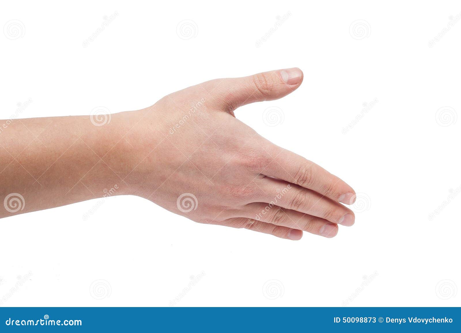 Man Hand Isolated on the White Stock Image - Image of closeup ...