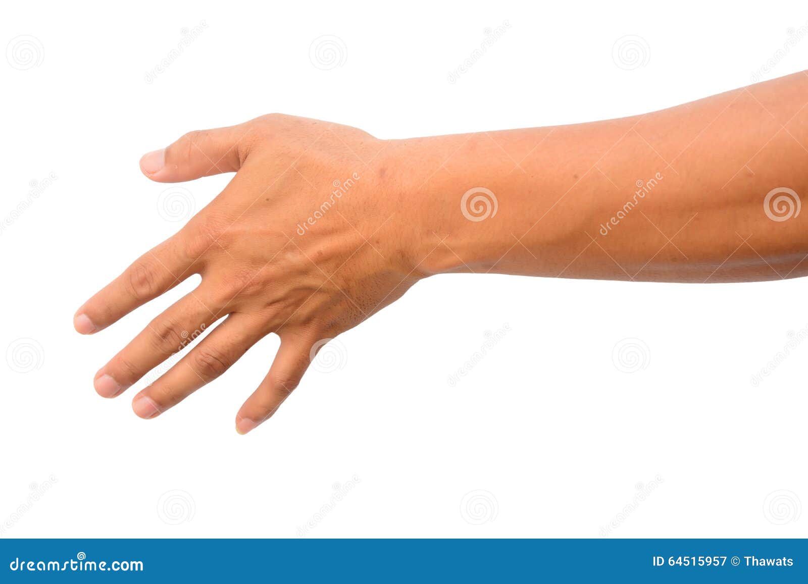 Man hand isolated stock image. Image of picking, gesturing - 64515957
