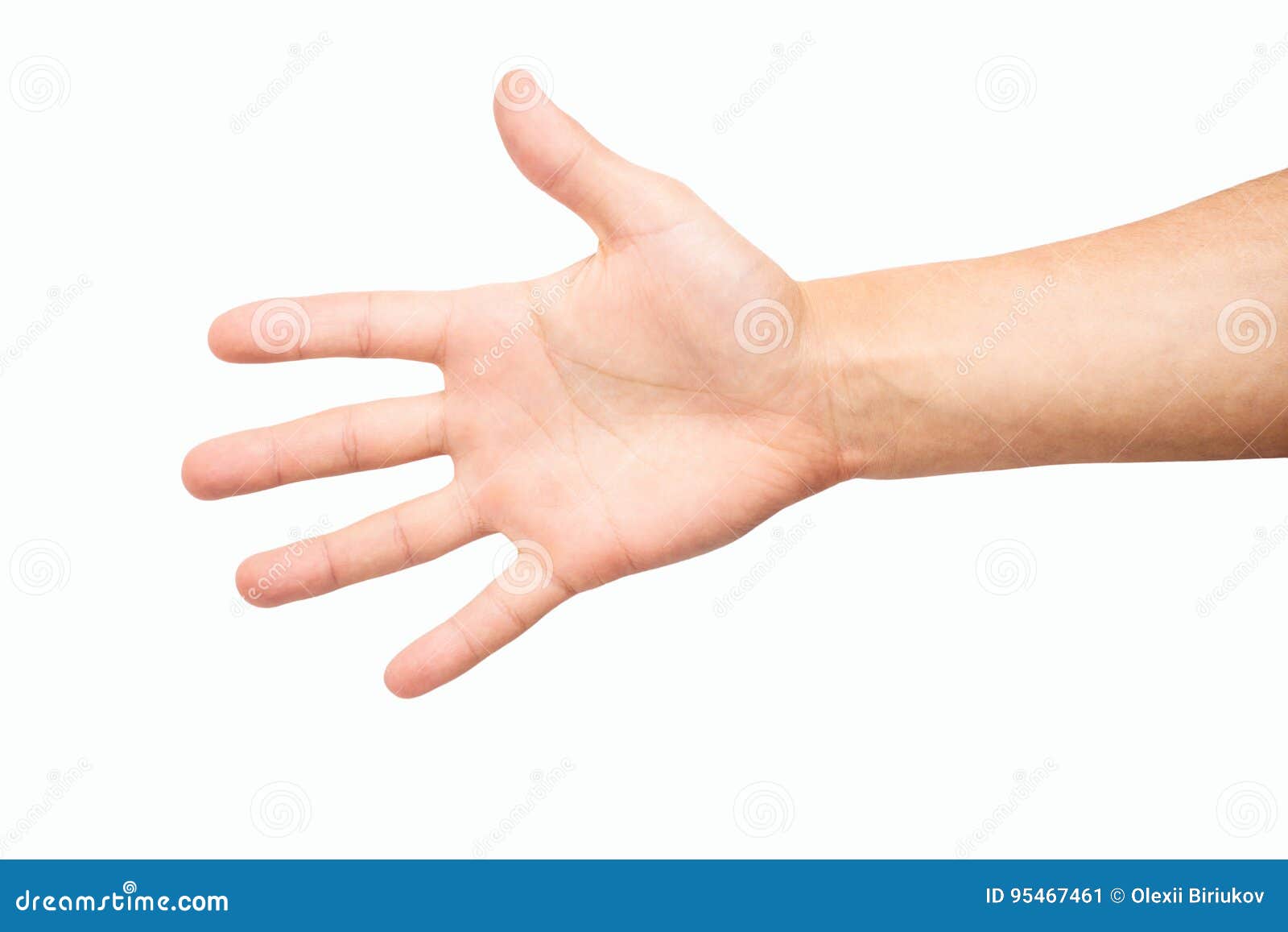 Man Hand Isolated on White Background Stock Image - Image of concept ...