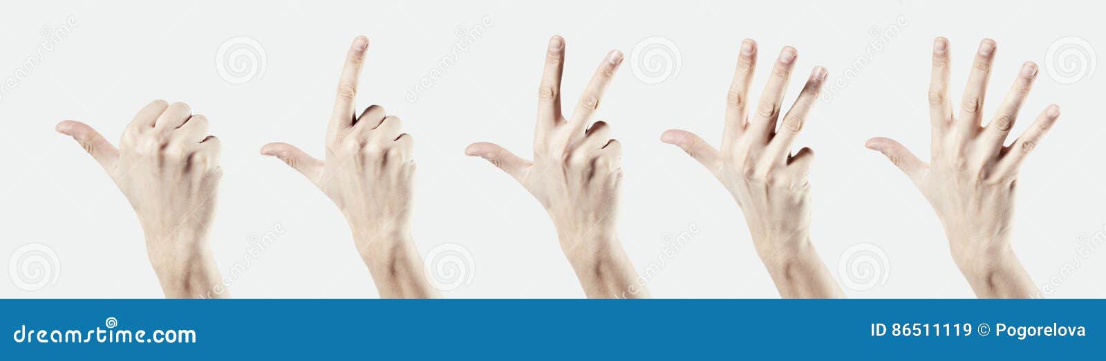 1,449 Four Fingers Sign Hand Isolated White Stock Photos - Free ...