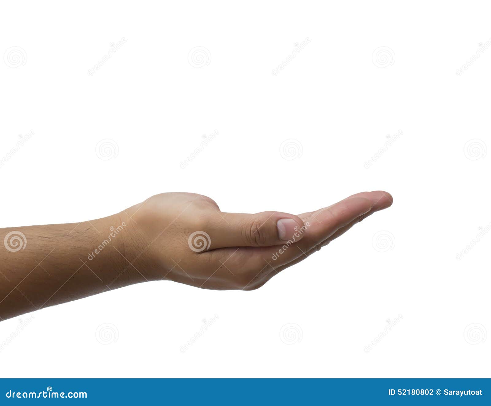 405 Man Hand Holding Item Isolated White Background Stock Photos - Free ...