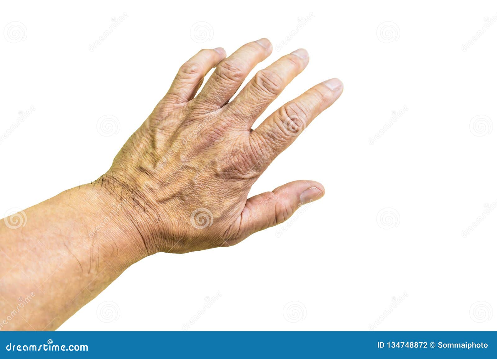 Man hand isolated on white stock photo. Image of counting - 134748872